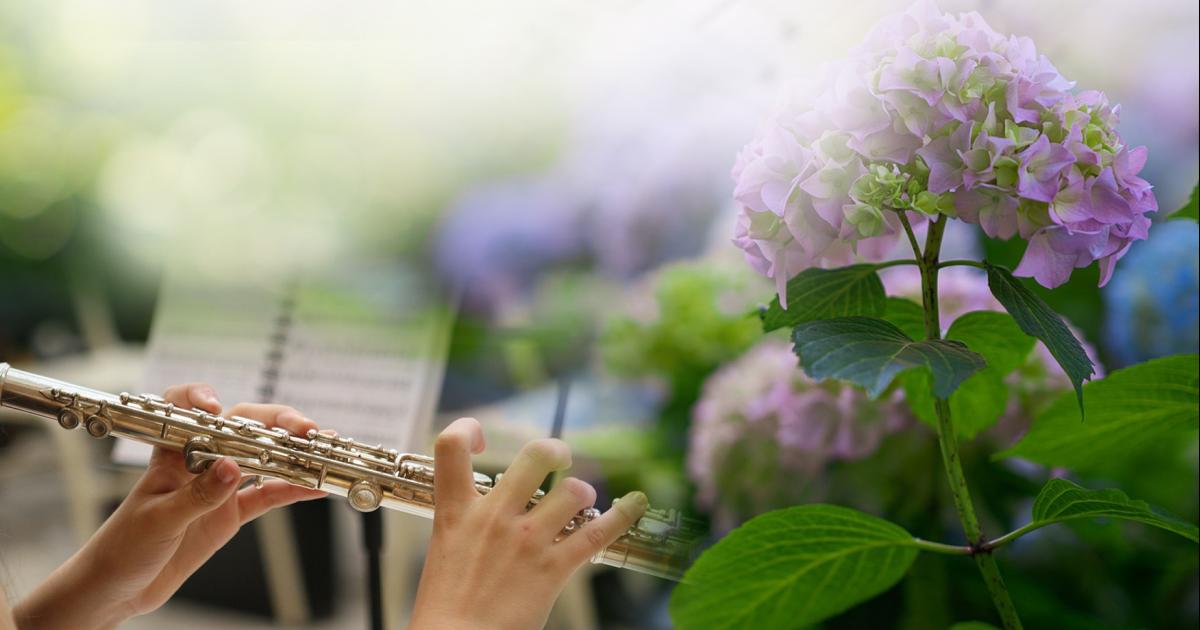 Vidzemes talanti – Events – Vidzemes Koncertzāle