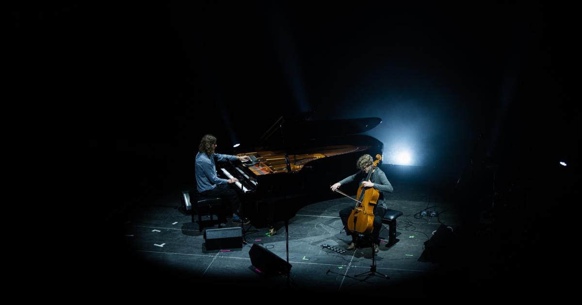 Cello Cēsis 2021_Cello Ambient – Galleries – Untitled website