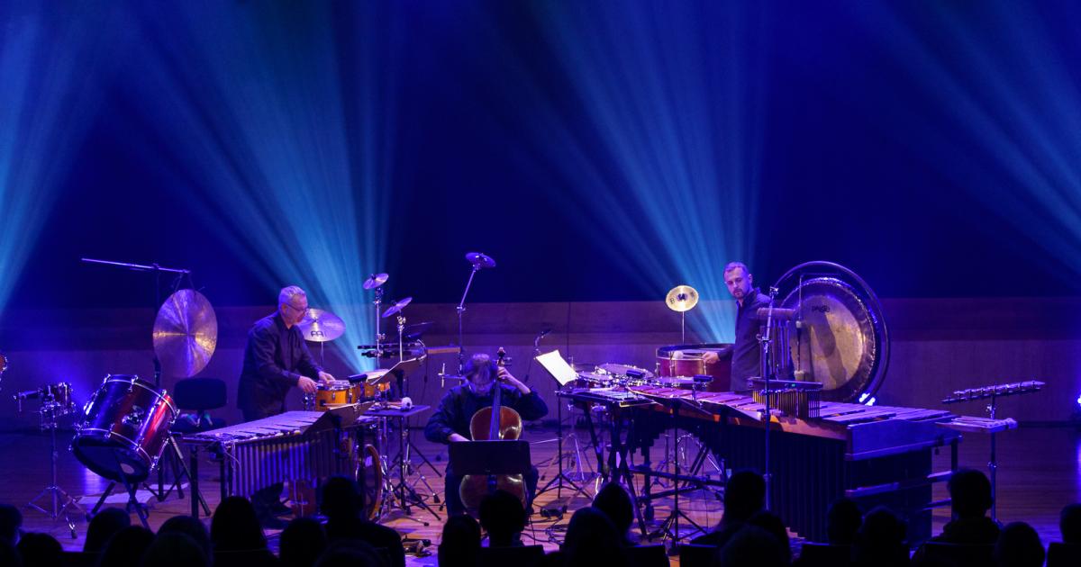 ČELLO CĒSIS 2022. Cello Ritmico – Galleries – Untitled website